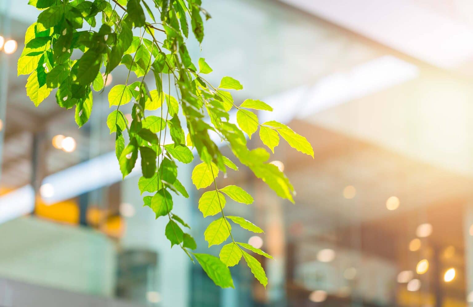 BASIX Compliance Certificate Consultants | BASIX Consultants