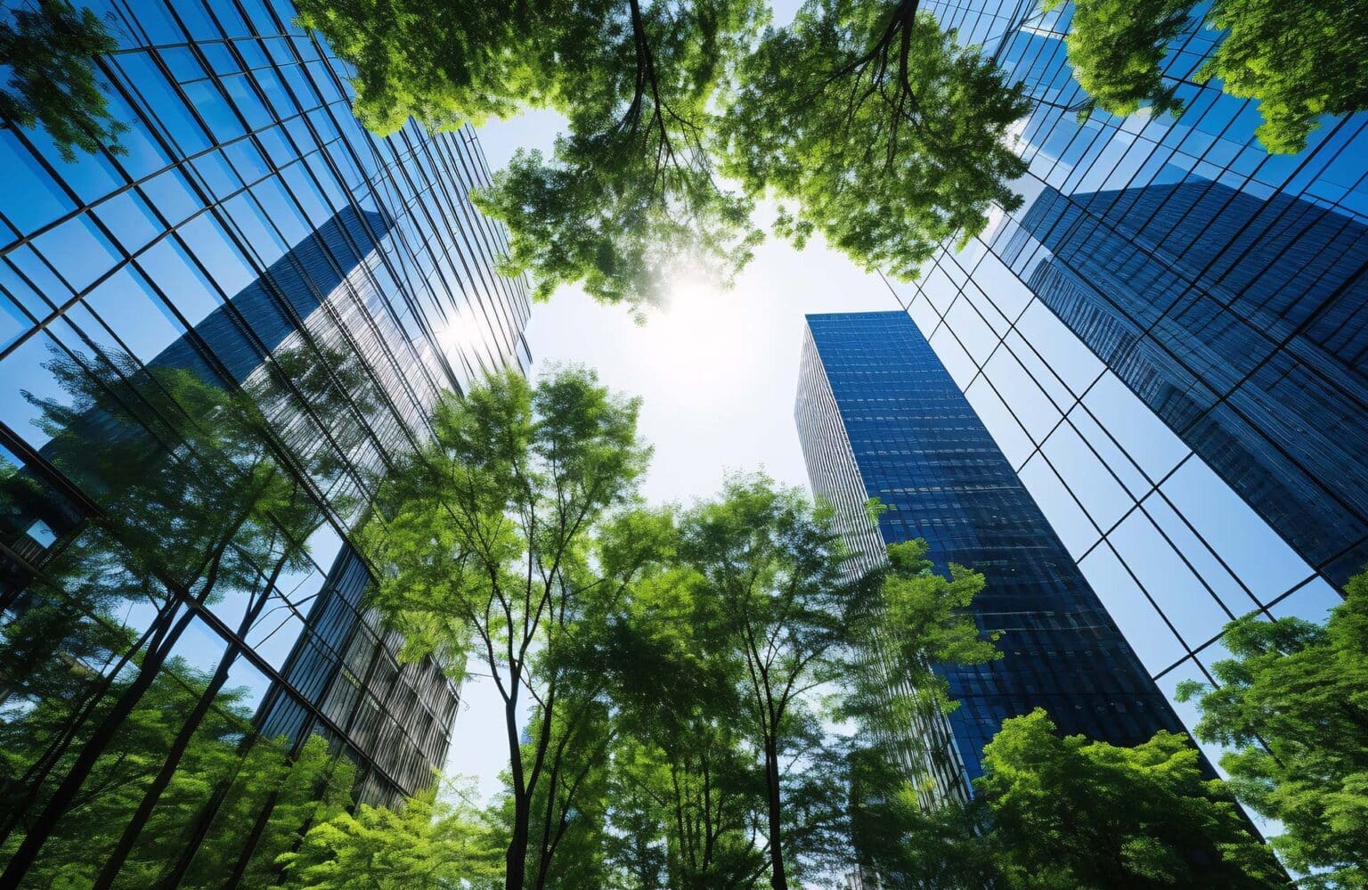 What is a Section J Report? – Application Solutions